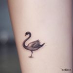 Swan Tattoo Meaning and Symbolism - Tatticle