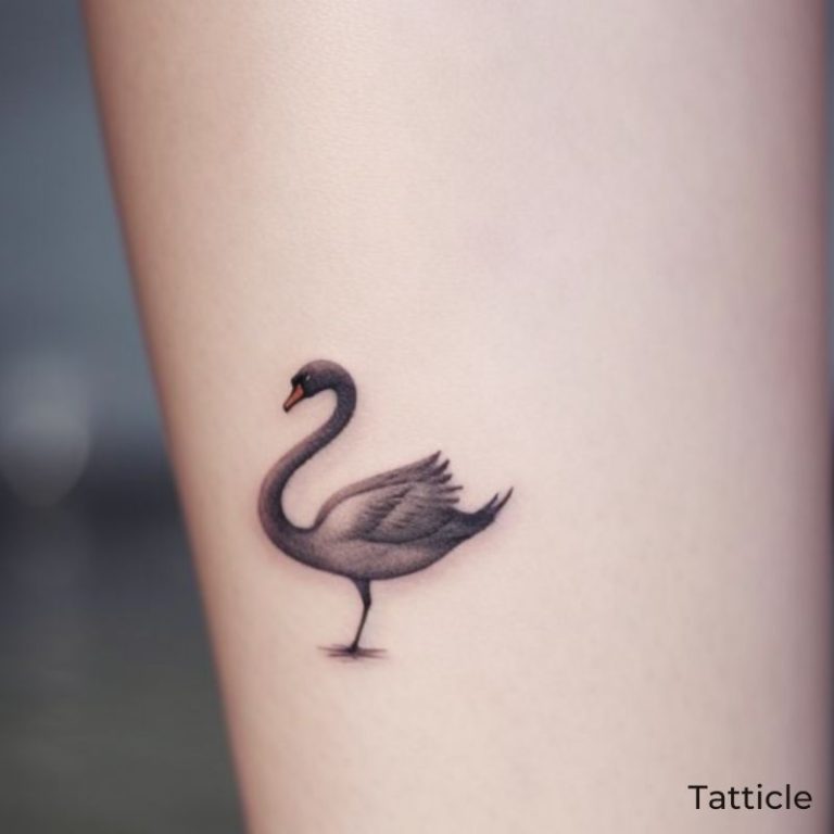 Swan Tattoo Meaning and Symbolism - Tatticle