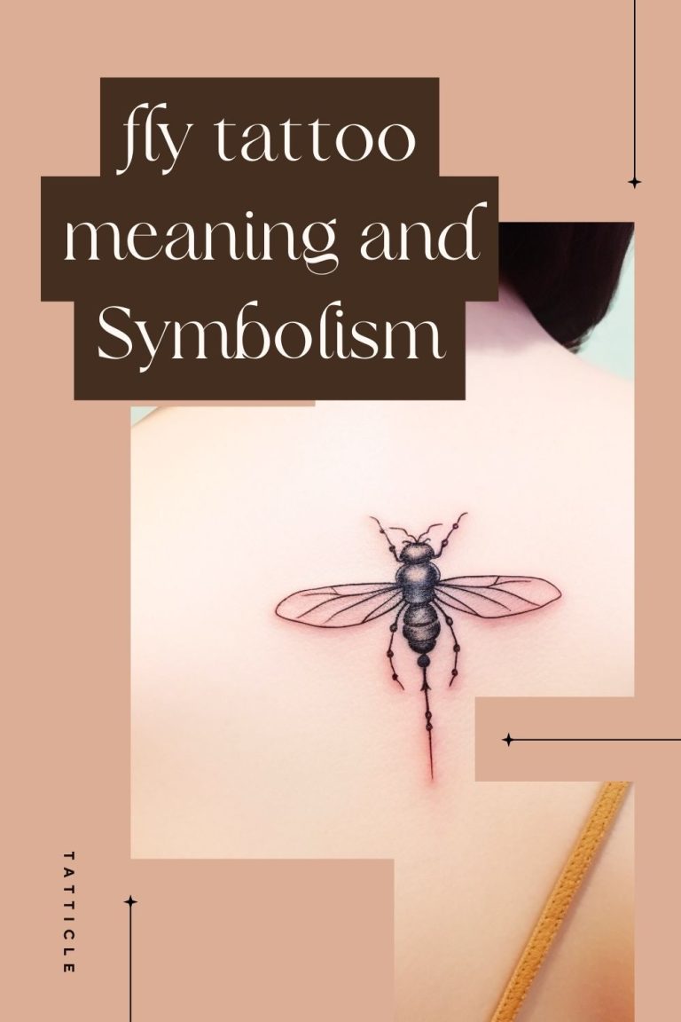 Fly Tattoo Meaning and Symbolism - Tatticle