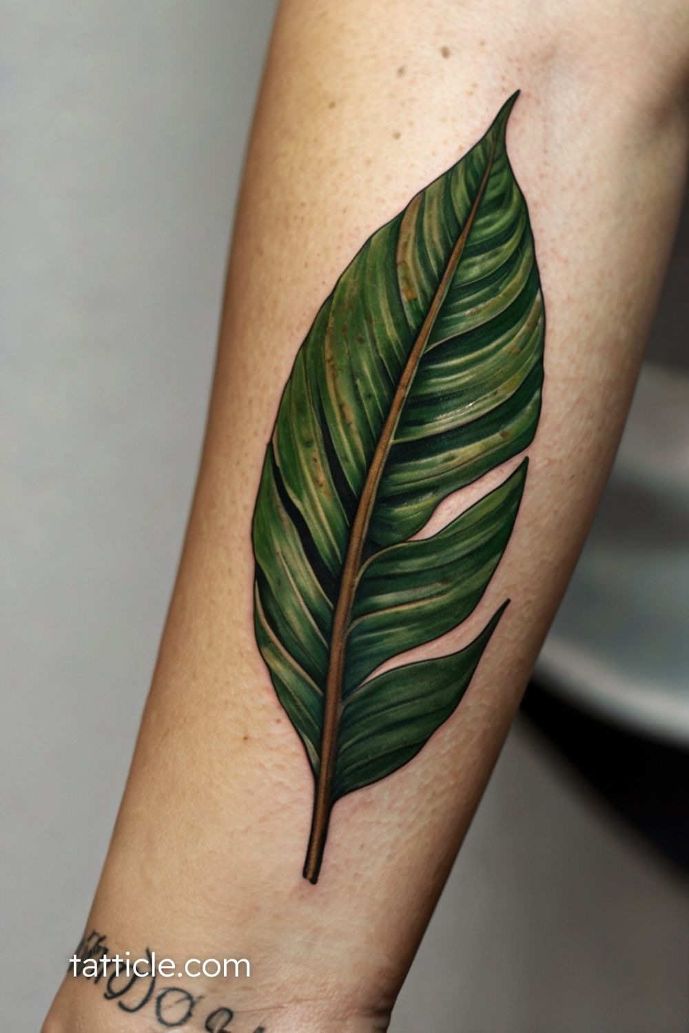 Calathea Tattoo Meaning: Stunning Ideas That Will Inspire Your Next Ink ...