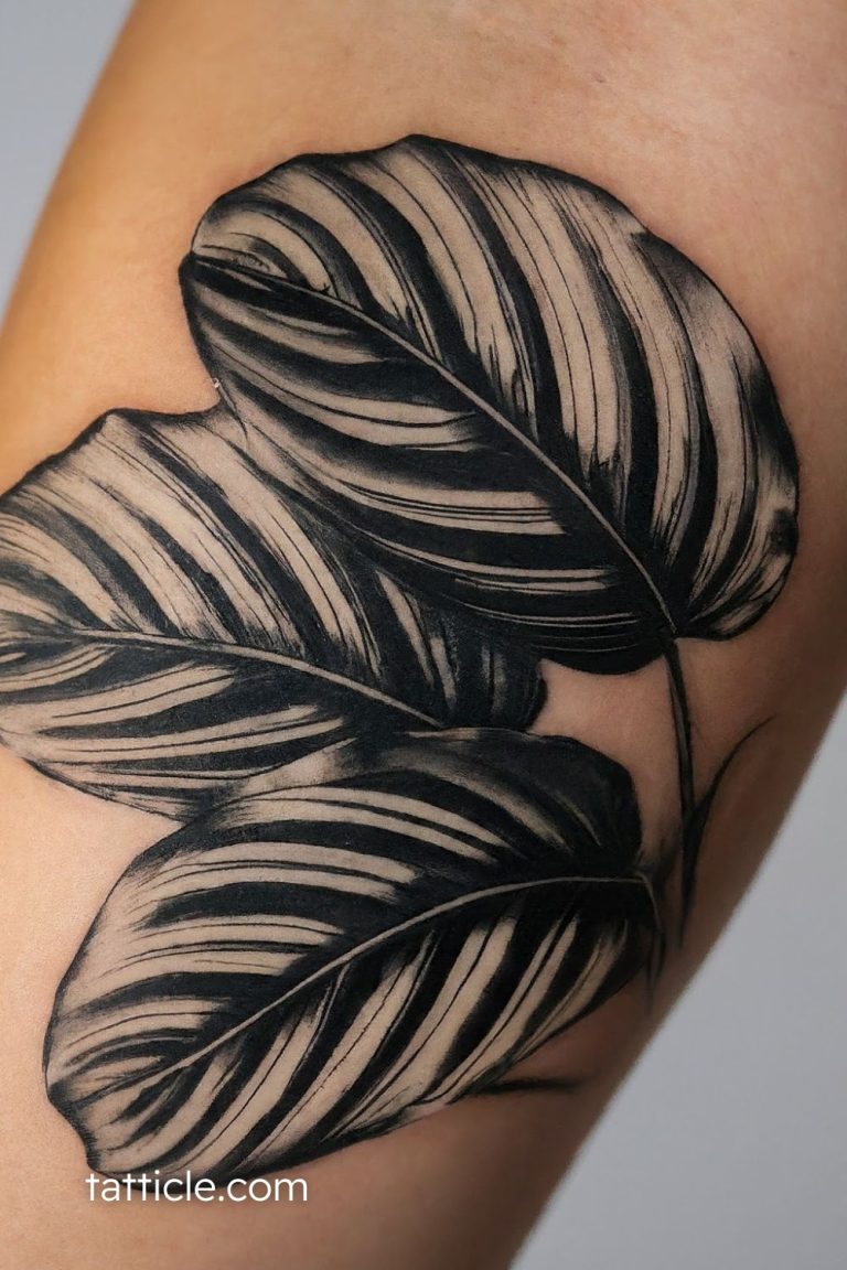 Calathea Tattoo Meaning: Stunning Ideas That Will Inspire Your Next Ink ...