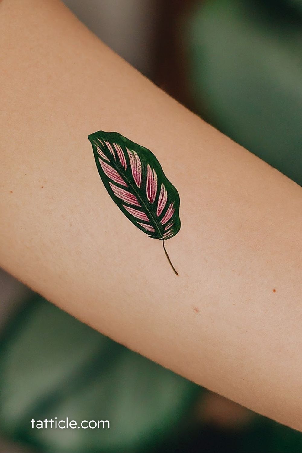 Calathea Tattoo Meaning: Stunning Ideas That Will Inspire Your Next Ink ...
