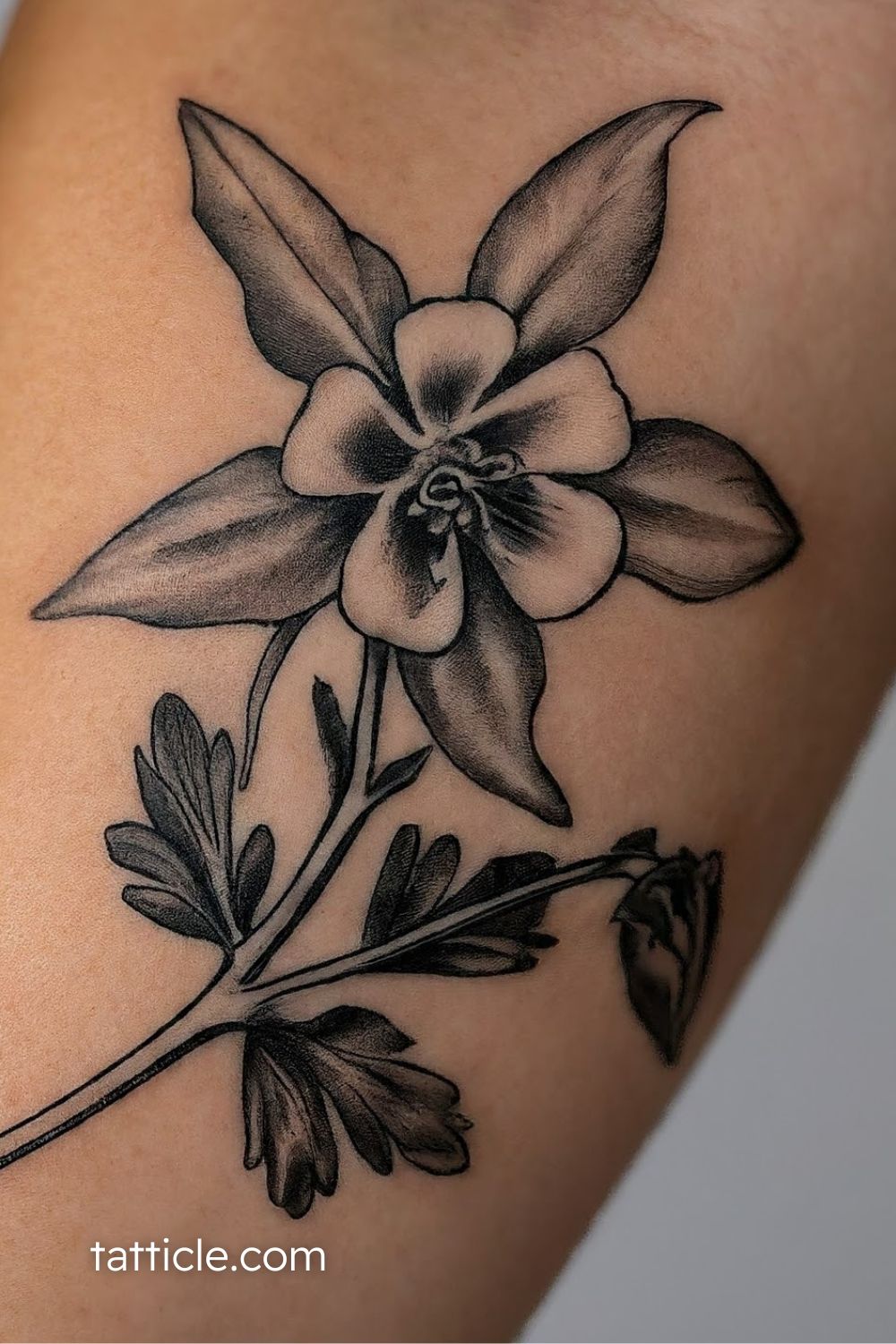 Columbine Tattoo Meaning: Inspiring Ideas and Symbolism You Won't ...