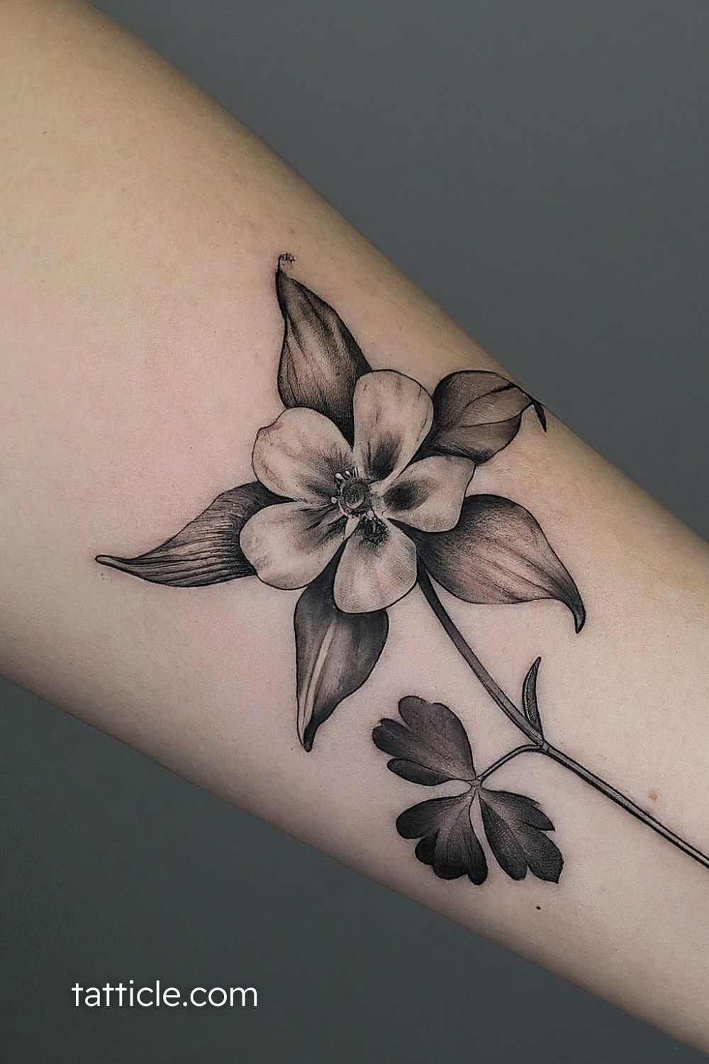 Columbine Tattoo Meaning: Inspiring Ideas and Symbolism You Won't ...