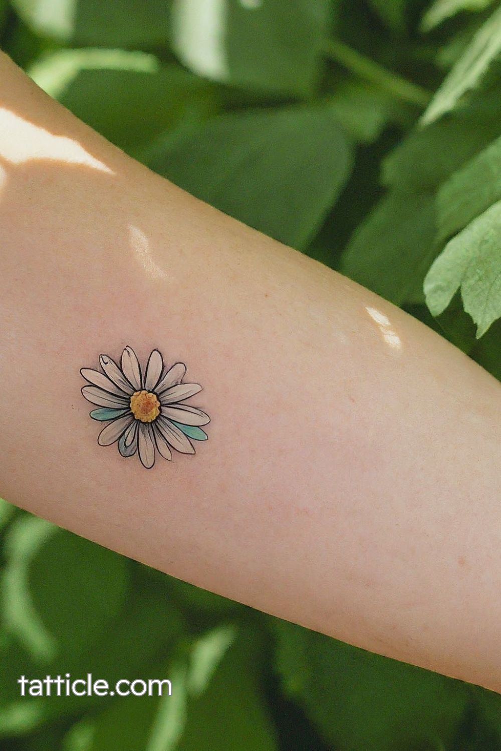 Daisy Tattoo Meaning: Unique Ideas to Elevate Your Ink Game - Tatticle