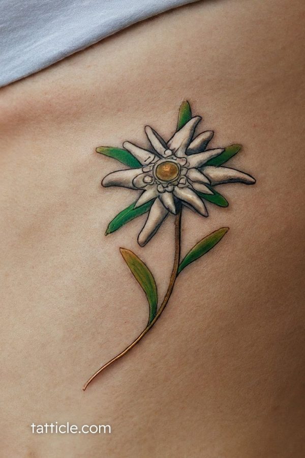 Edelweiss Tattoo Meaning: Fascinating Ideas and Symbolism You Need to ...