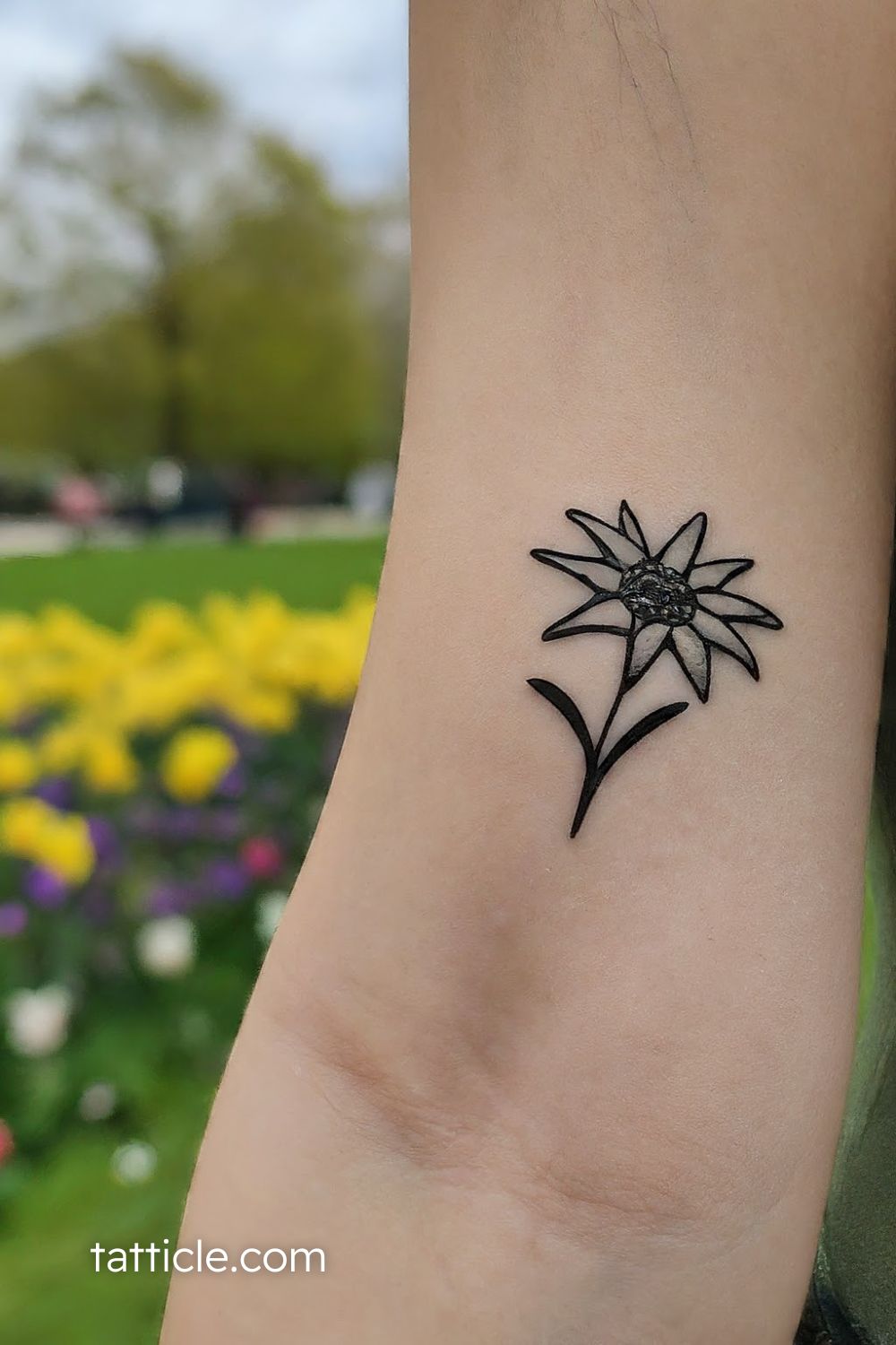 Edelweiss Tattoo Meaning: Fascinating Ideas and Symbolism You Need to ...