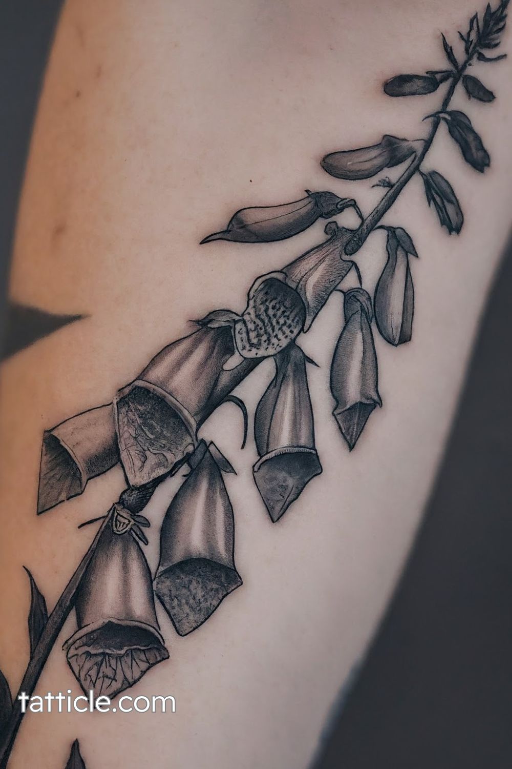 Foxglove Tattoo Meaning: Stunning Ideas You Need to See for Your Next Ink - Tatticle