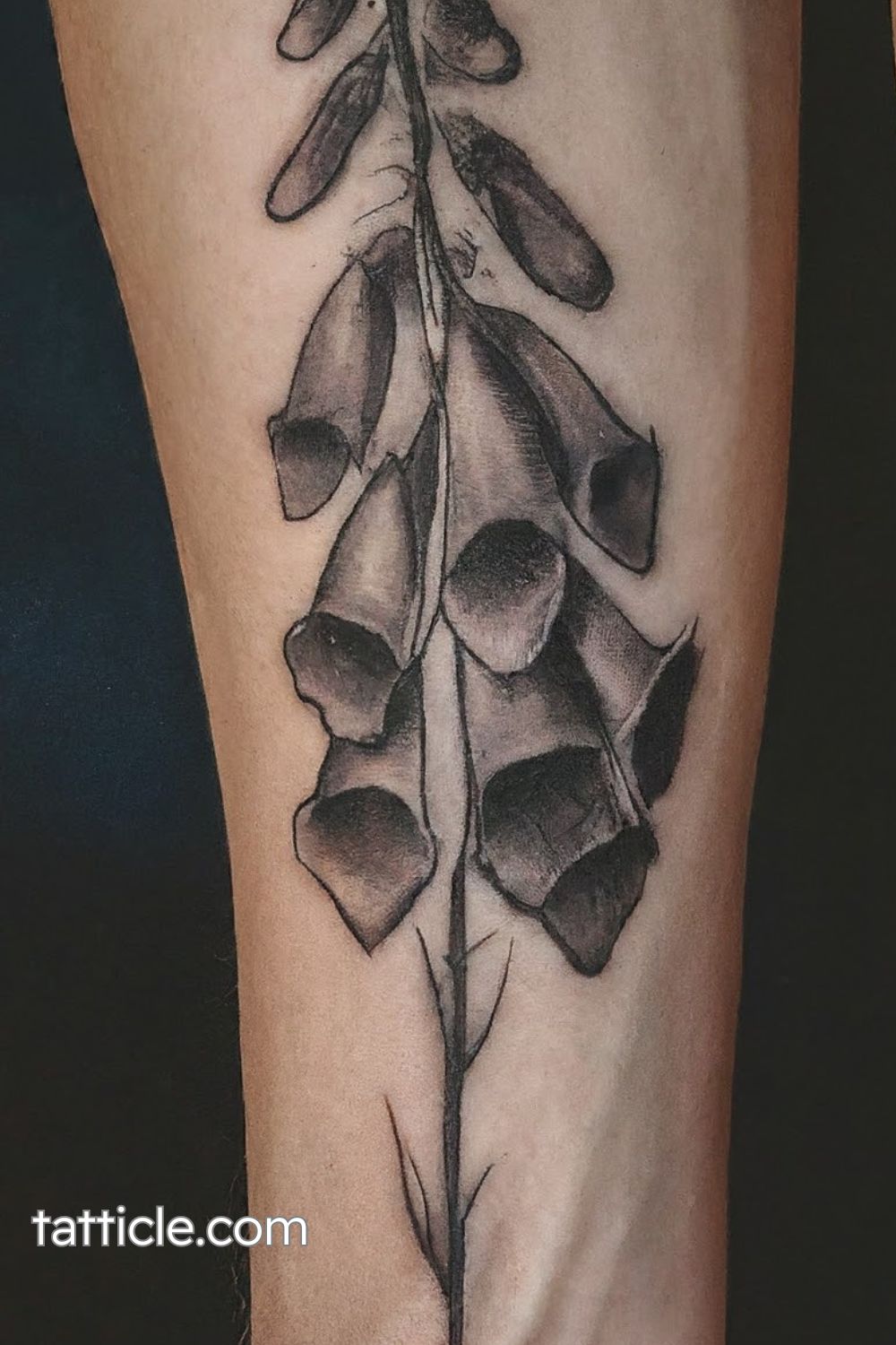 Foxglove Tattoo Meaning: Stunning Ideas You Need to See for Your Next ...