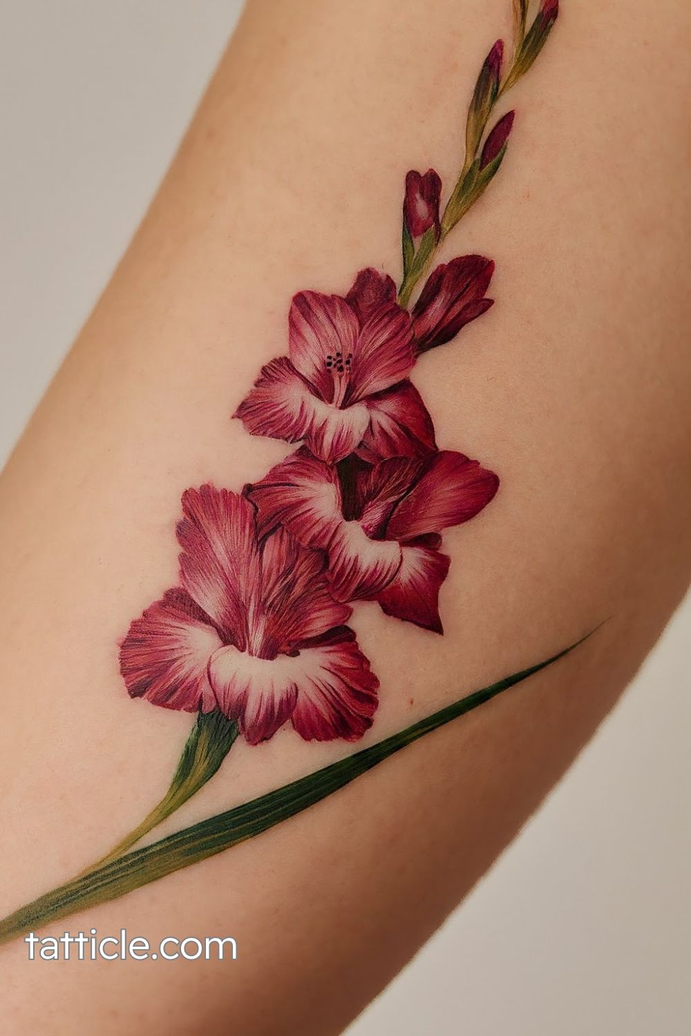 Gladiolus Tattoo Meaning: Stunning Ideas You Need to See Before Getting ...