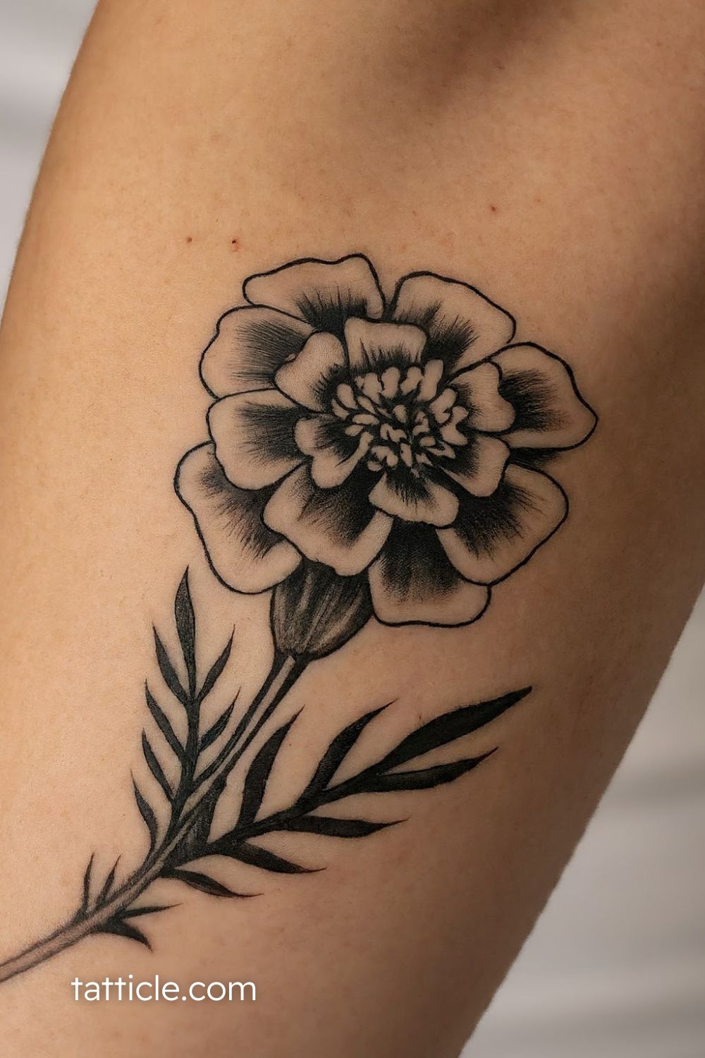 Marigold Tattoo Meaning: Discover Creative and Emotional Ideas You Need ...