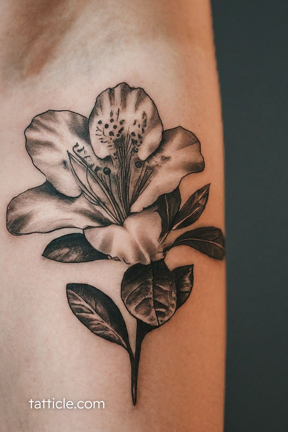 Azalea Tattoo Meaning: Creative Ideas You Won't Want to Miss - Tatticle