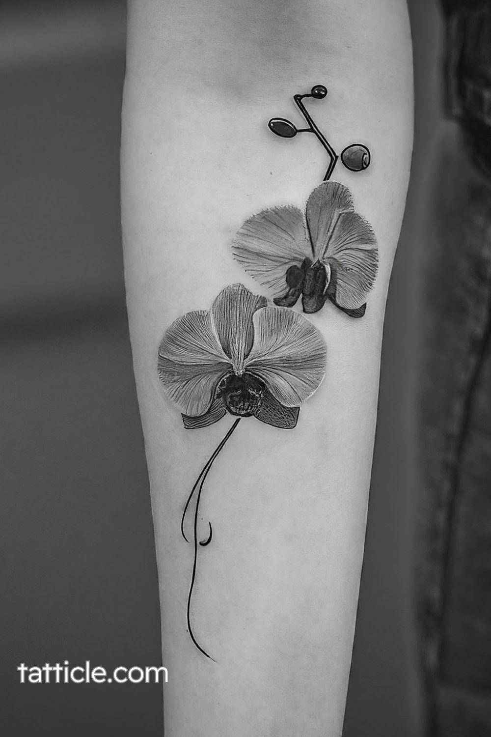 Orchid Tattoo Meaning: Discover Stunning Ideas and Symbolism Behind ...
