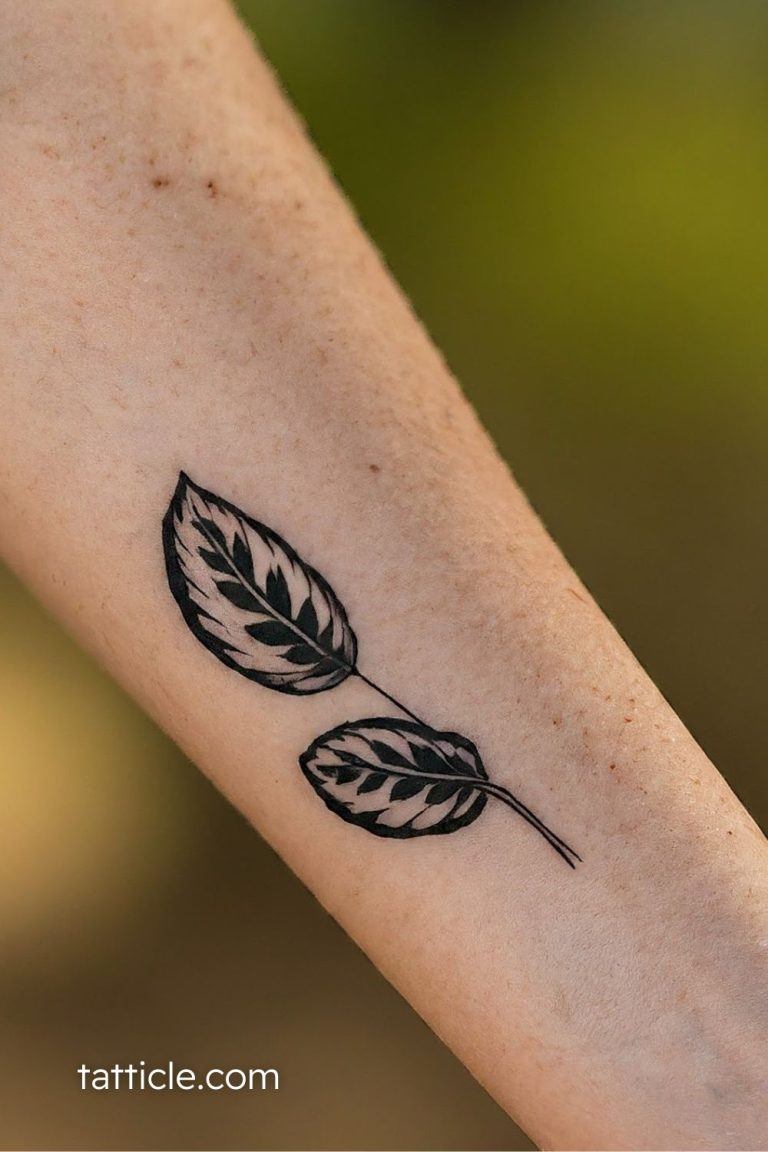 Calathea Tattoo Meaning: Stunning Ideas That Will Inspire Your Next Ink ...