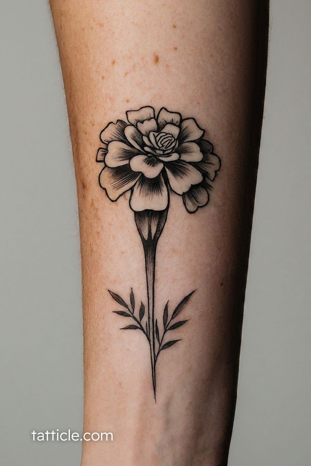 Marigold Tattoo Meaning: Discover Creative and Emotional Ideas You Need ...
