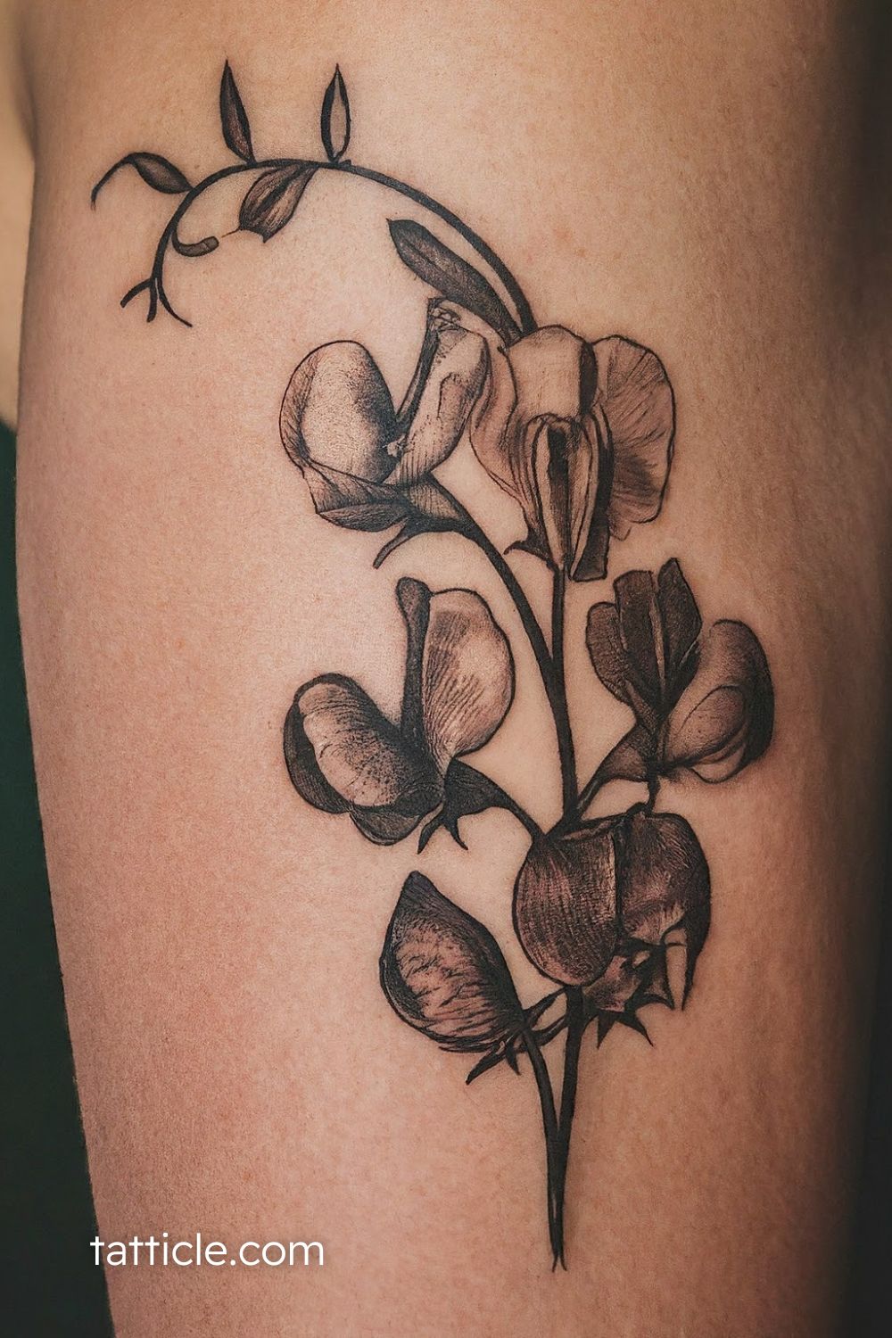 Sweet Pea Tattoo Meaning: Top Ideas That Will Blow Your Mind - Tatticle