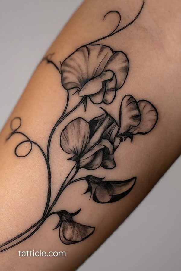 Sweet Pea Tattoo Meaning: Top Ideas That Will Blow Your Mind - Tatticle