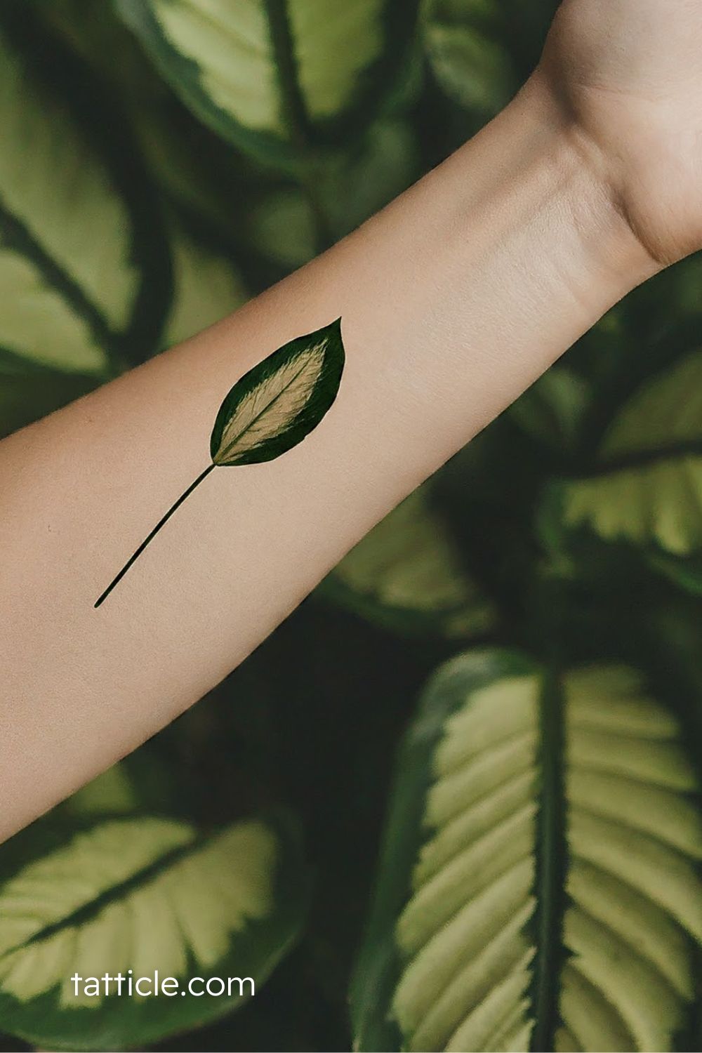 Calathea Tattoo Meaning: Stunning Ideas That Will Inspire Your Next Ink ...
