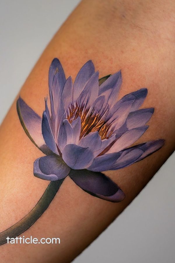 Water Lily Tattoo Meaning and Stunning Design Ideas - Tatticle
