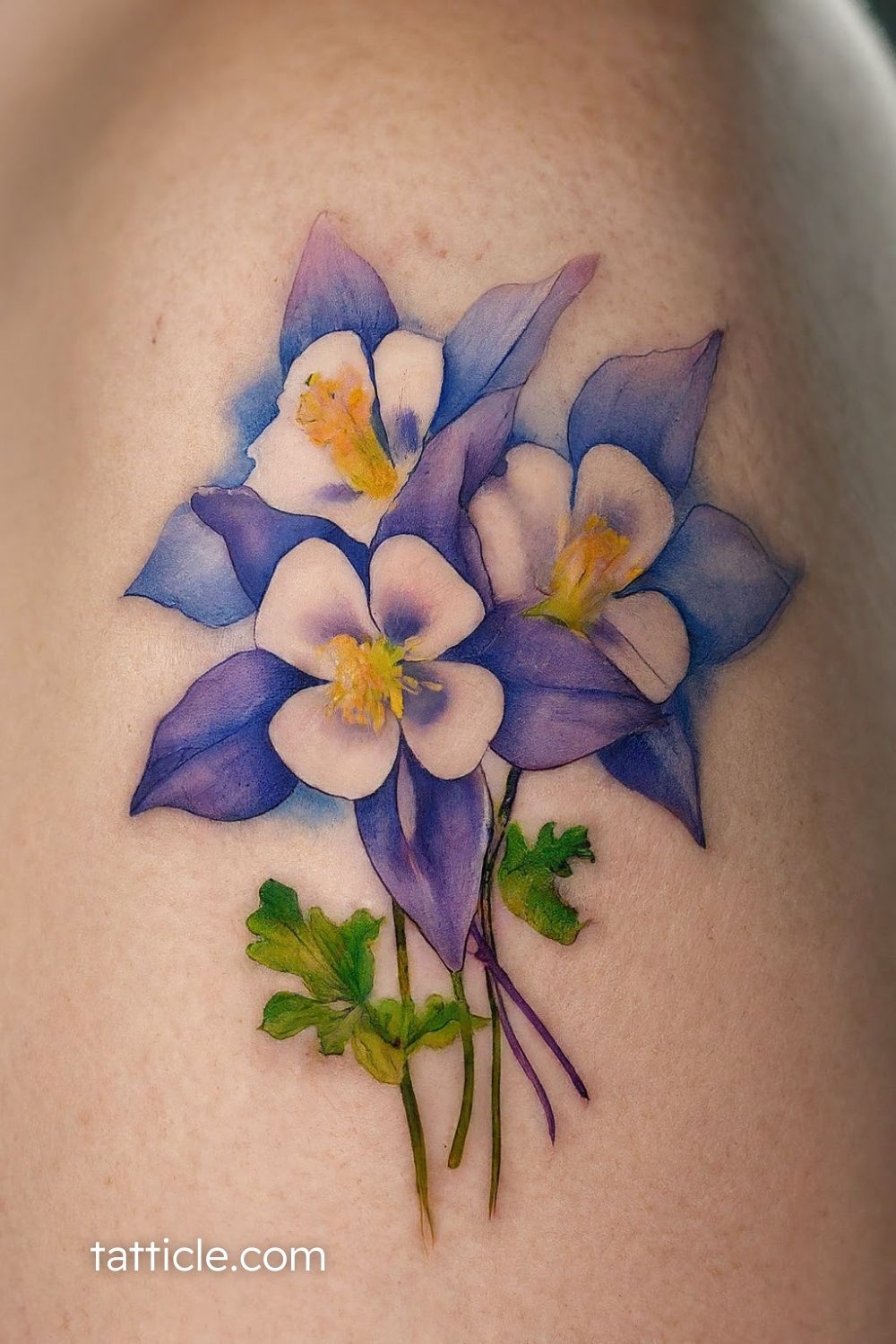 Columbine Tattoo Meaning: Inspiring Ideas and Symbolism You Won't ...