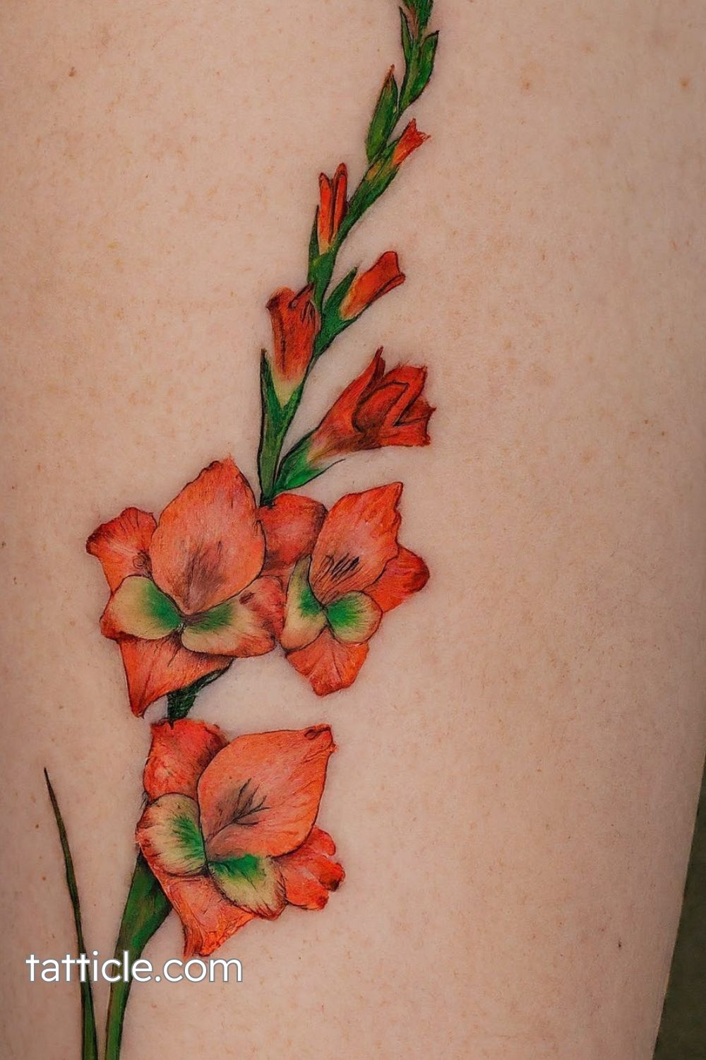 Gladiolus Tattoo Meaning: Stunning Ideas You Need to See Before Getting ...