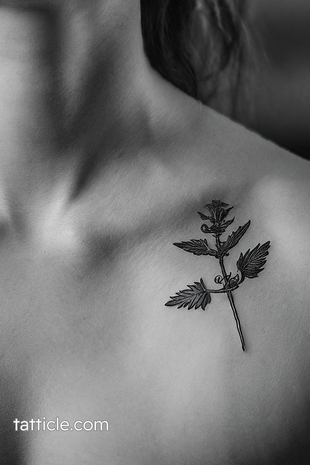 Anise Hyssop Tattoo Meaning: Uncover the Hidden Symbolism and Design ...