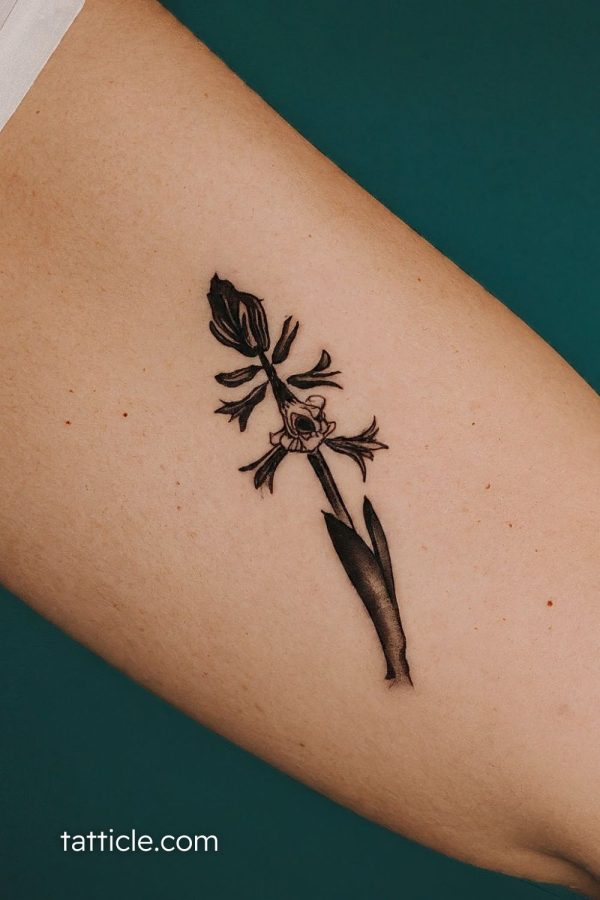 Hyacinth Tattoo Meaning: Discover the Surprising Symbolism and Perfect ...