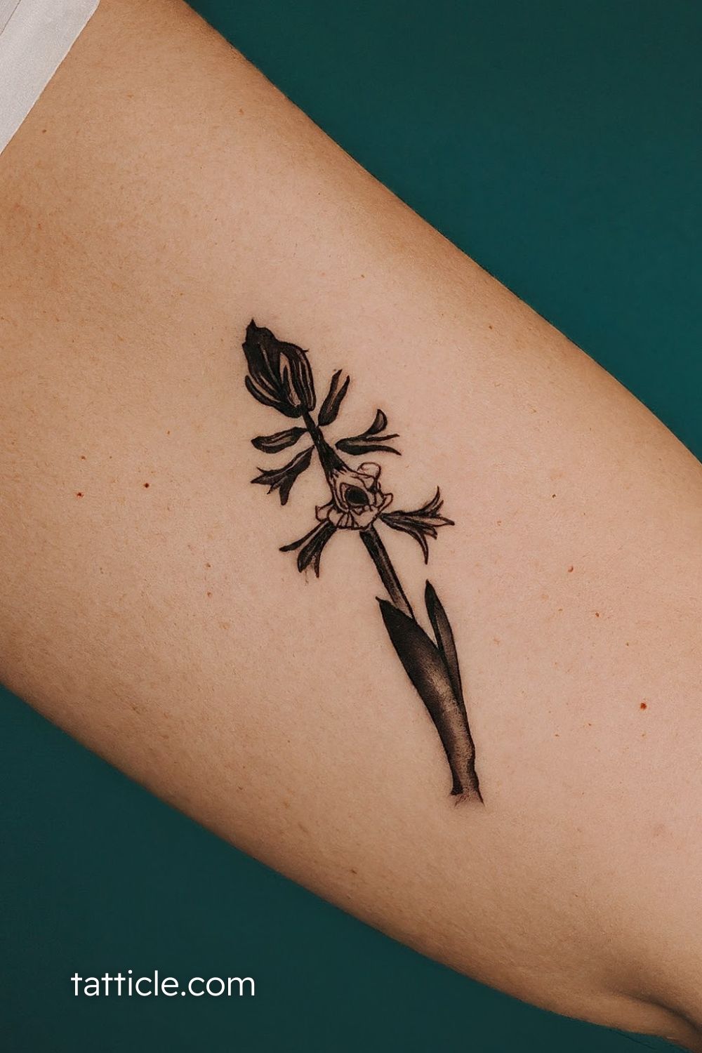 Hyacinth Tattoo Meaning: Discover the Surprising Symbolism and Perfect ...