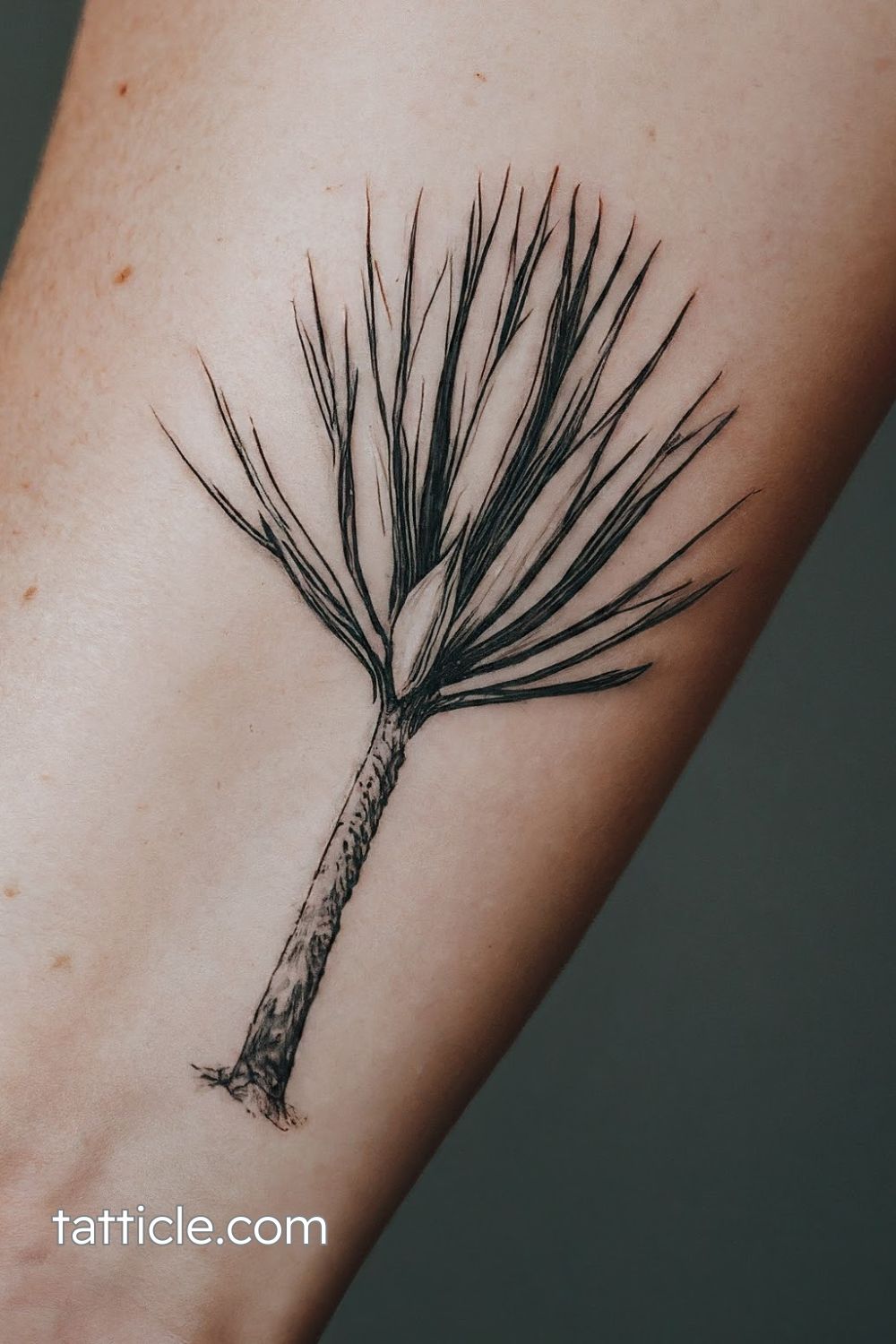 Yucca Tattoo Meaning: Discover the Deep Symbolism and Popular Designs ...
