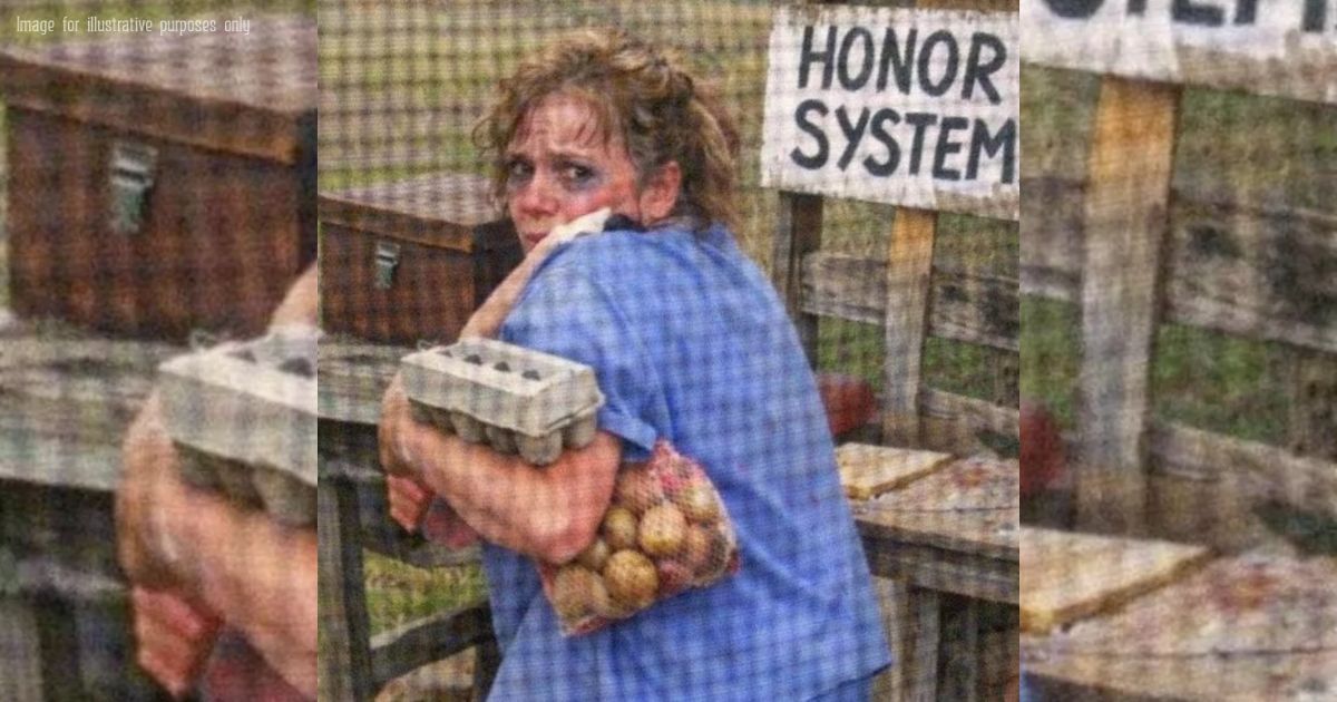 The Honor Box: How One Farm Stand Turned Hunger Into Community Again ...